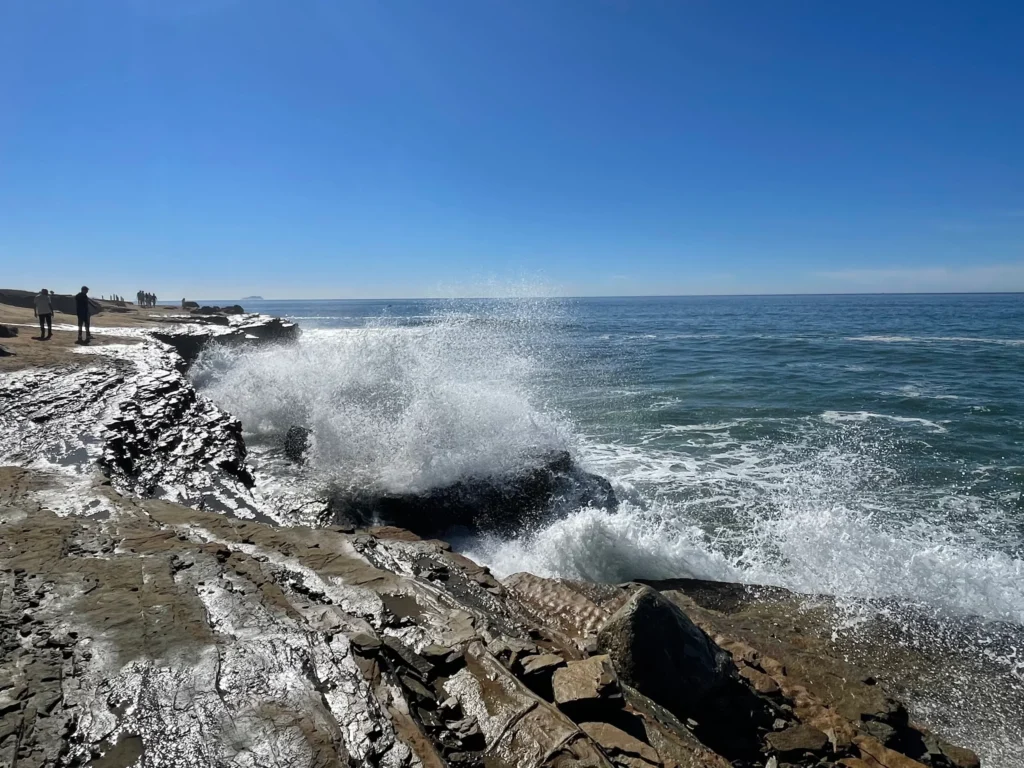Point Loma - Finch Post